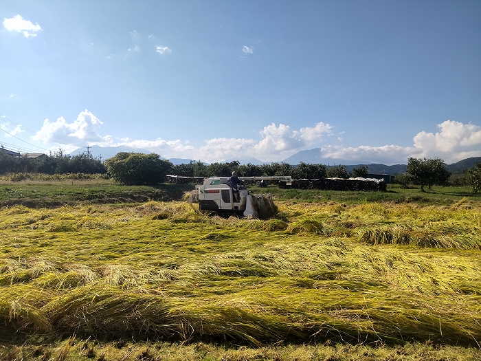 noon farm (ヌーンファーム)｜長野県飯綱町のりんご農園